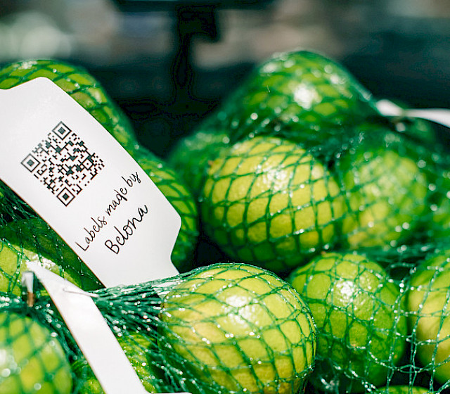 About us | Optimum Group™ Belona